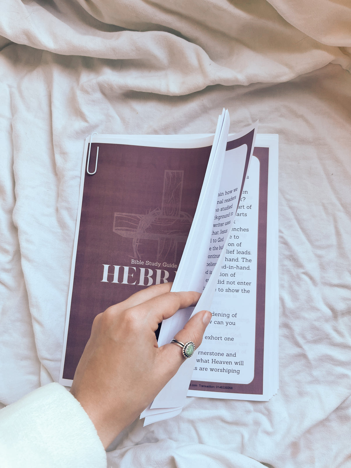 Hebrews Bible Study Guide DIGITAL – RBL Ministries